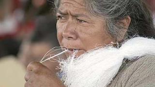 somosxinkas.com: UN ARTE EN PELIGRO DE EXTINCIÓN... LA JARCIA XINKA