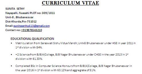 Fresher CV Format For BSc Computer Science Student
