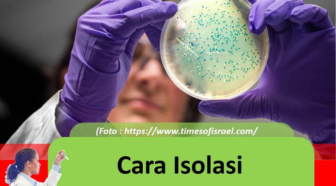 Cara Isolasi Mikroorganisme