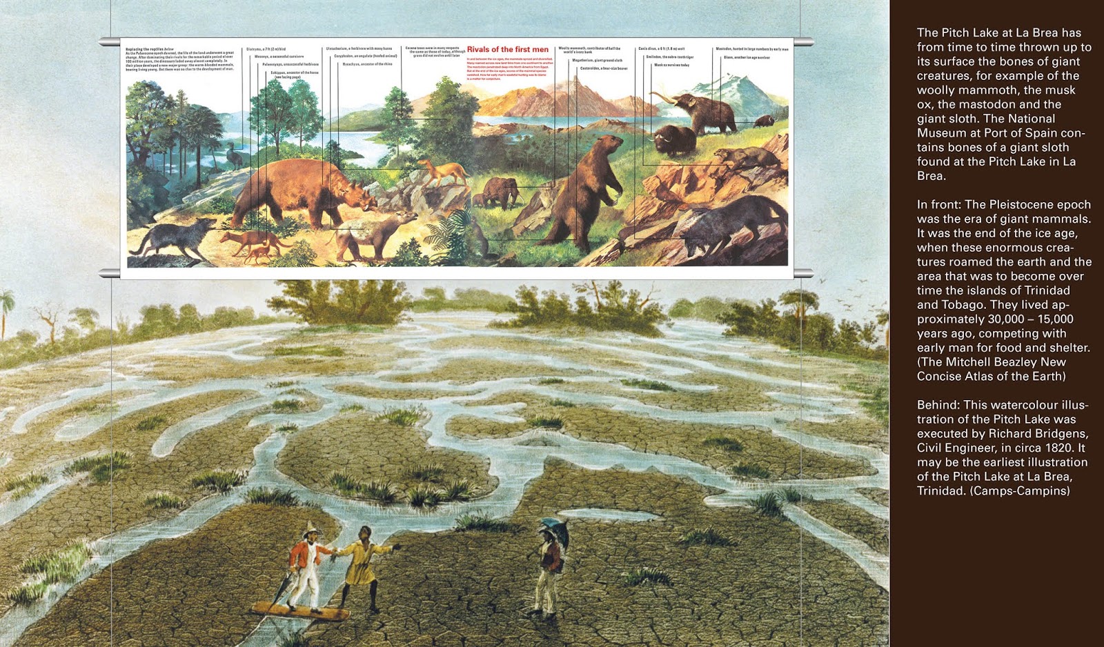 The Caribbean History Archives: Welcome to the Virtual Museum of the ...