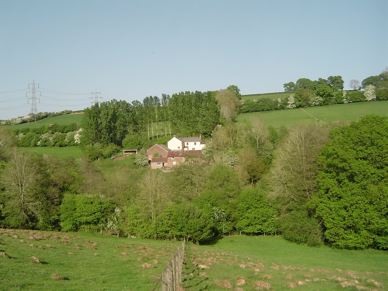 Little Mill Farm