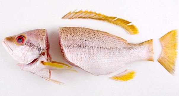 Wicara Mina: BENTUK POTONGAN IKAN