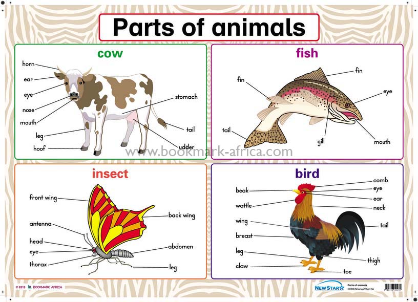 English for everyone!: febrero 2017