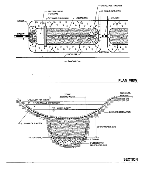 Projecto Regenerar: Swales