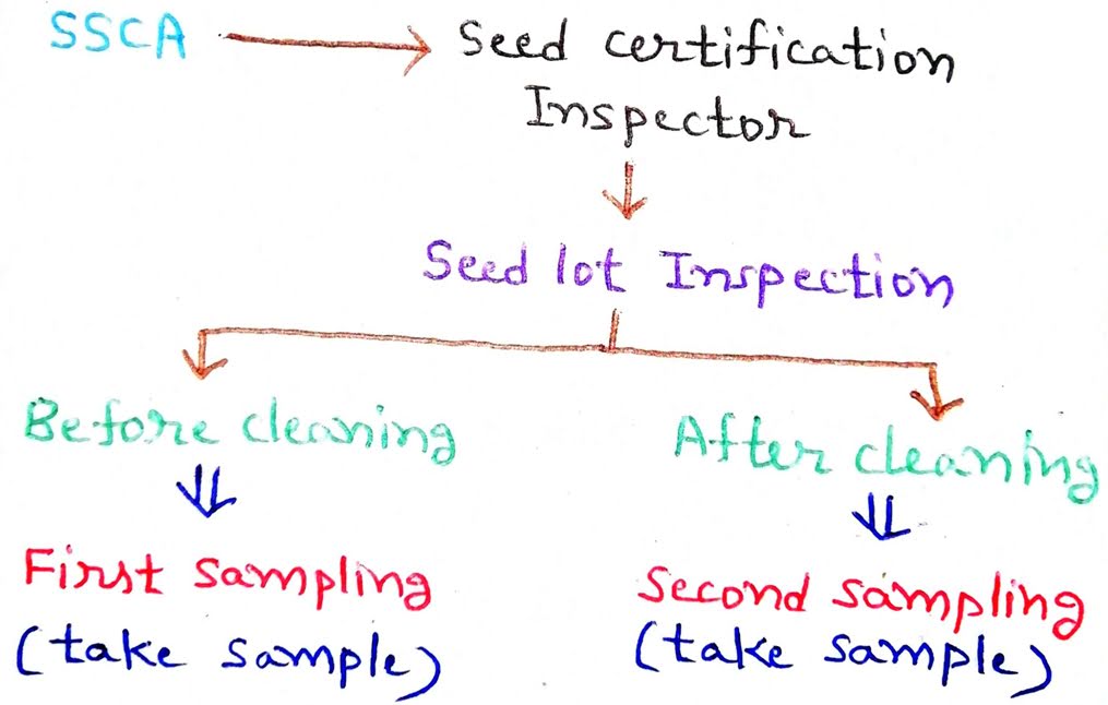 Seed Certification, Phases of Certification, Procedure for Seed ...