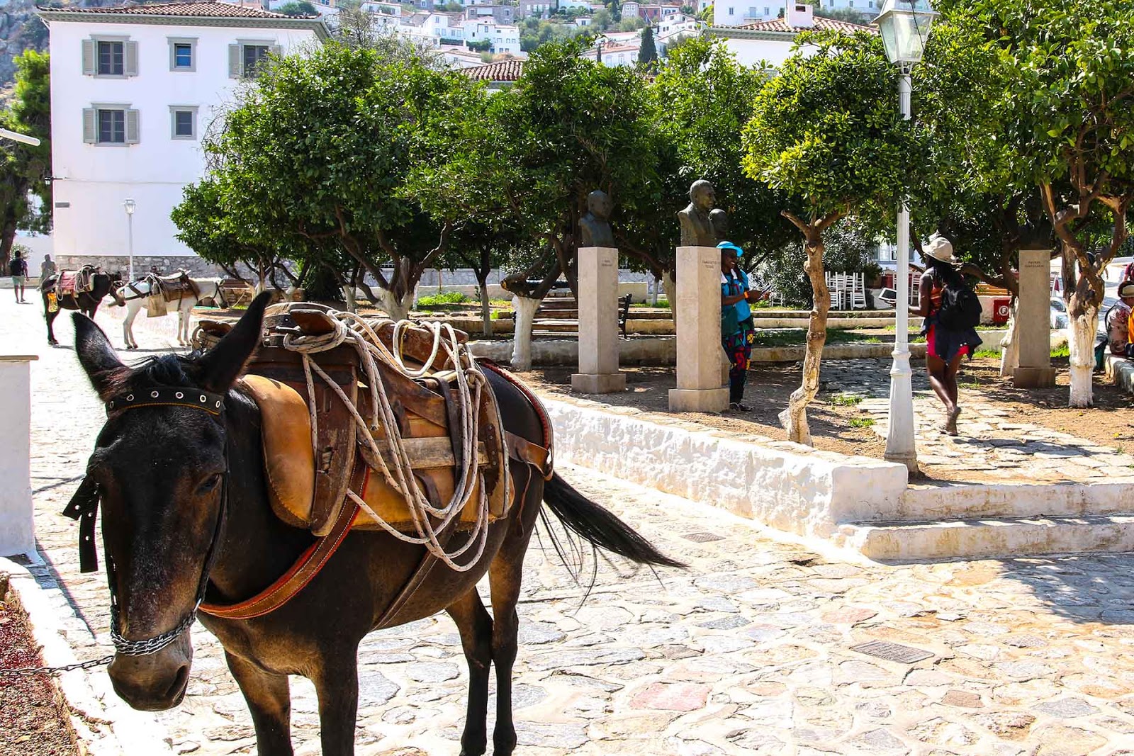 ΣΥΛΛΟΓΟΣ ΤΡΙΤΕΚΝΩΝ ΠΕΡΙΦΕΡΕΙΑΣ (ΝΟΜΟΥ) ΑΤΤΙΚΗΣ: Μονοήμερη Κρουαζιέρα ...