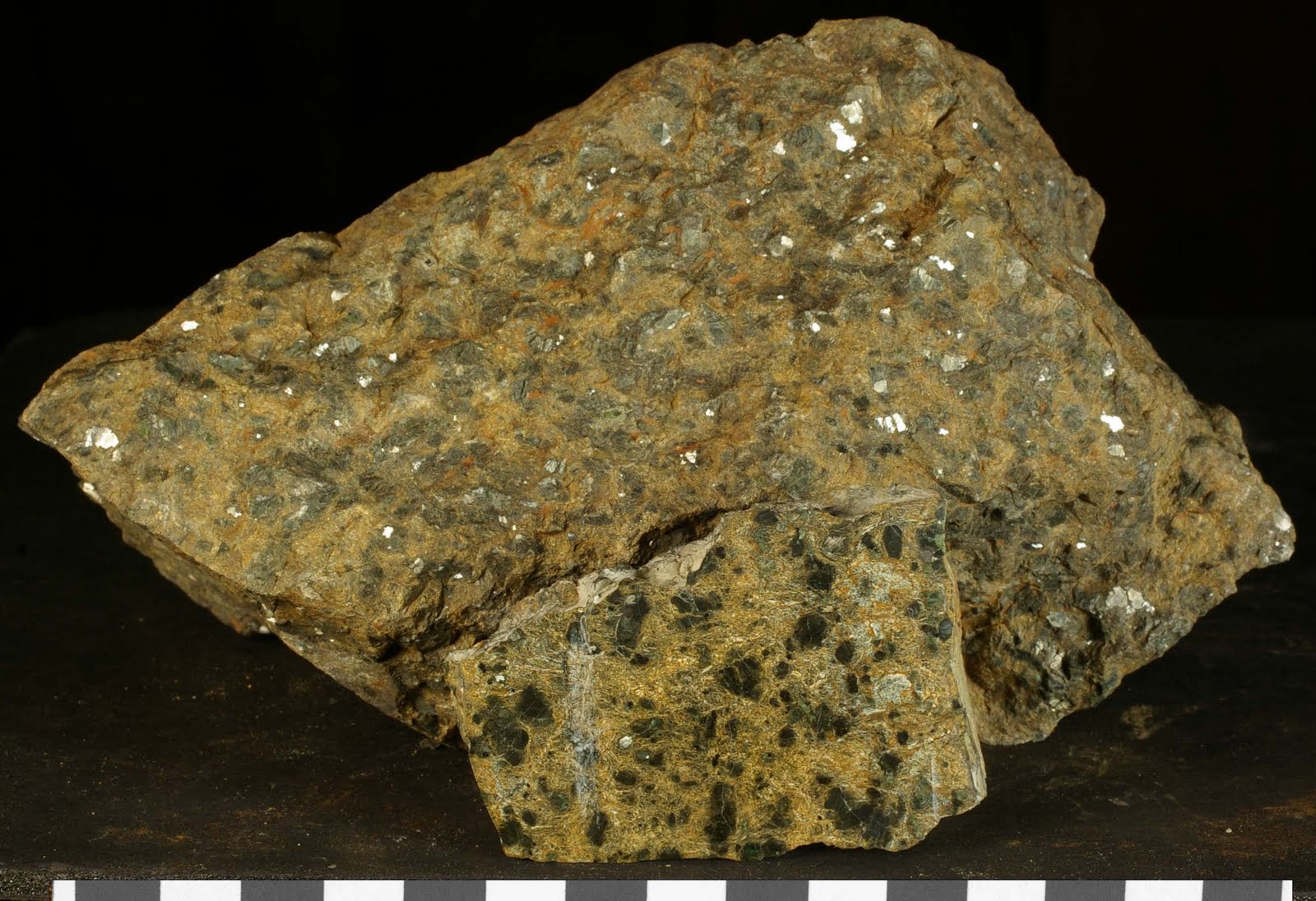 Peridotites: Pyroxene grains and pseudomorphs in Josephine ...