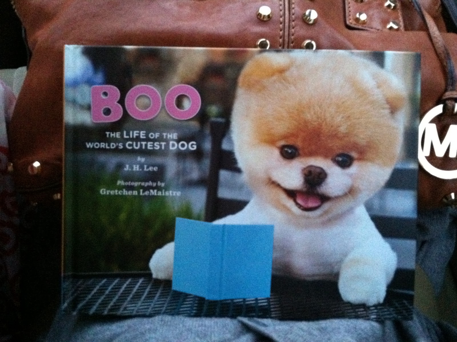 Fall Break! - Southern Curls & Pearls