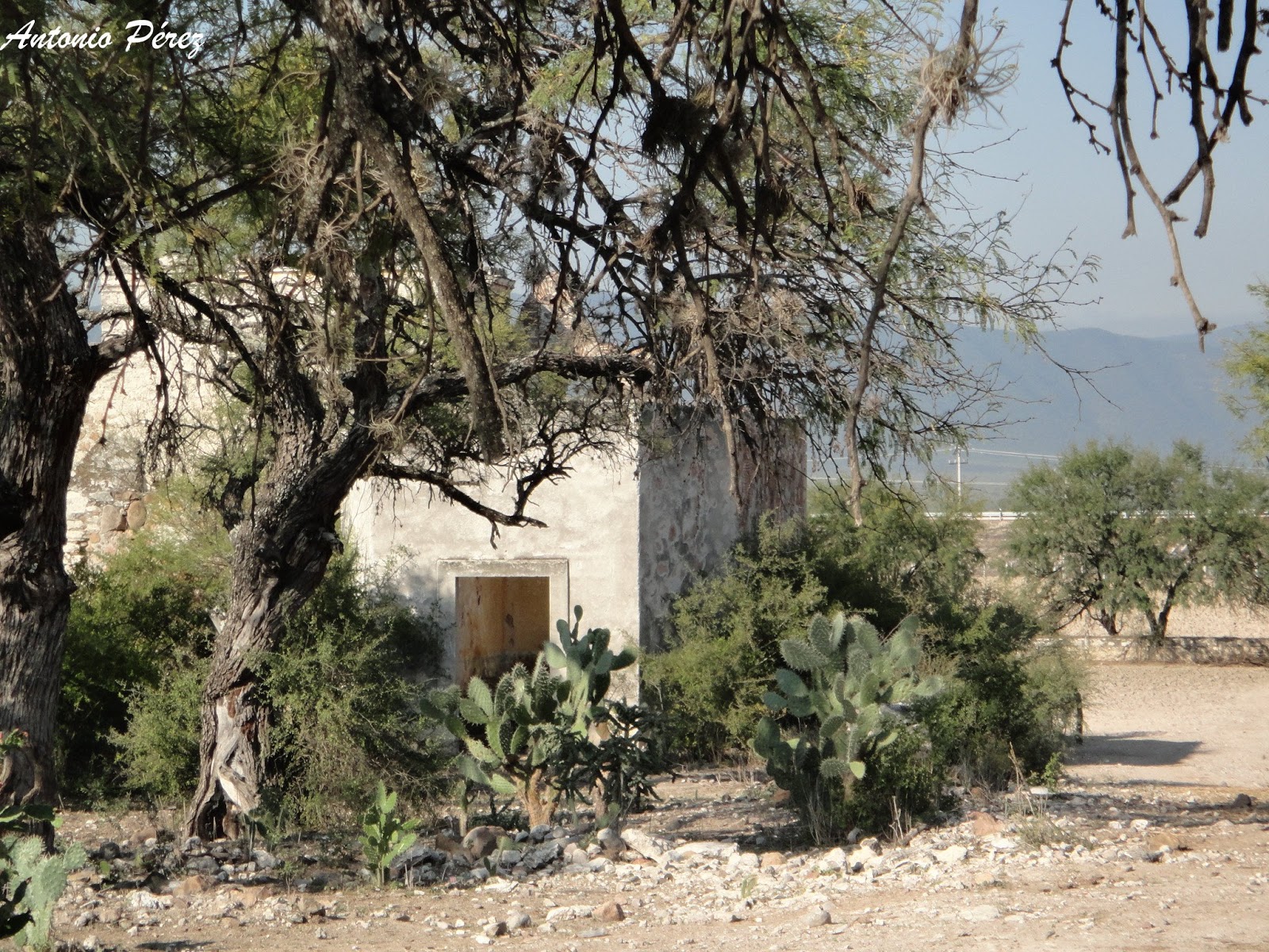 Cerritos, San Luis Potosí: Hacienda de Derramaderos