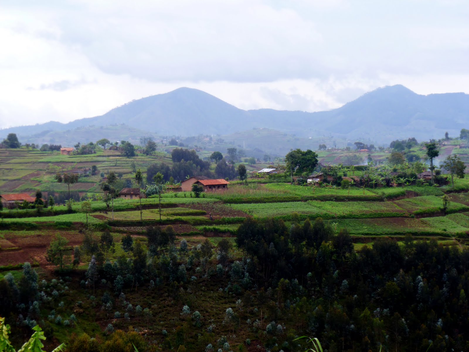 Reconciliation and Reconstruction in Post-Genocidal Rwanda: Vision 2020 ...