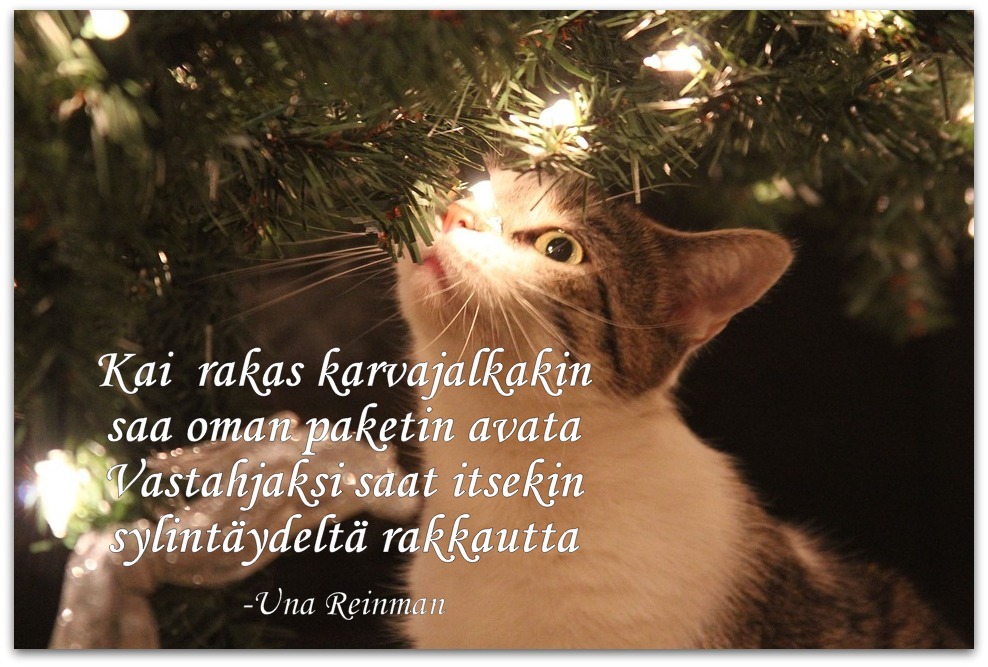 Hallatar Vaikka Ei Voitu Nyt Tavata Eikä Halata