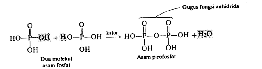 Anhidrida Dari Asam Fosfat