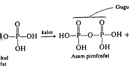 Anhidrida Dari Asam Fosfat