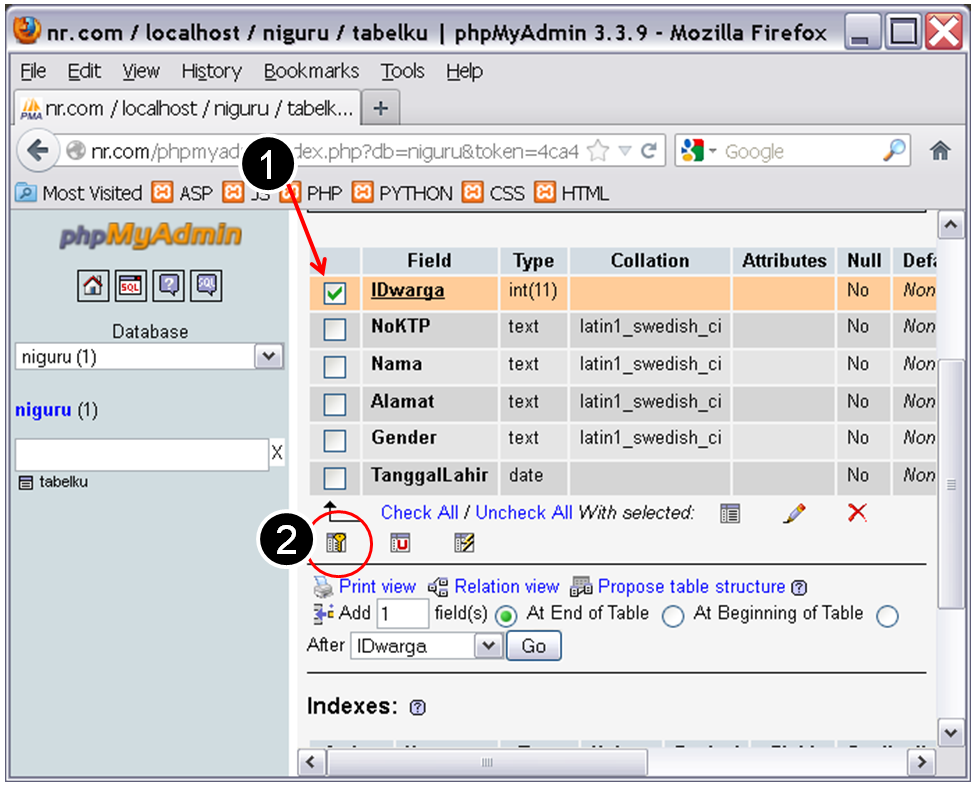 Membuat Tabel Baru Pada MySQL Database - Niguru Indonesia