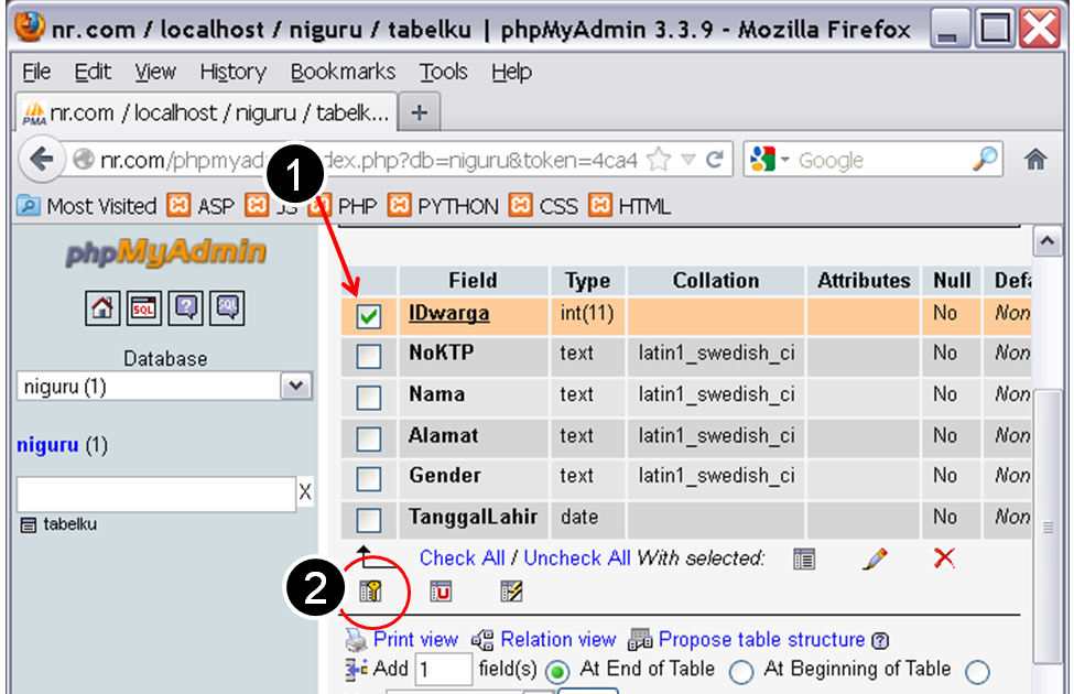 Membuat Tabel Baru Pada MySQL Database - Niguru Indonesia