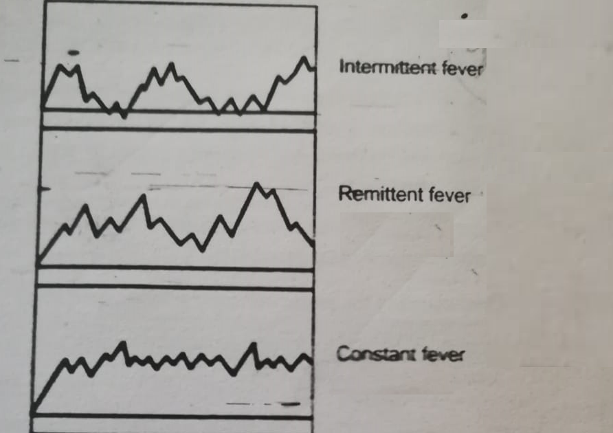 Vital Signs - (Body Temperature, Pulse Rate, Breathing Rate) and BP