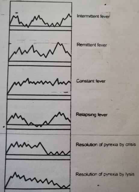 Vital Signs - (Body Temperature, Pulse Rate, Breathing Rate) and BP