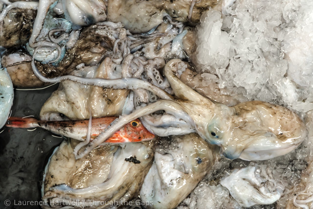 Through the Gaps! - Newlyn Fishing News: Mid-week market in gale-torn ...