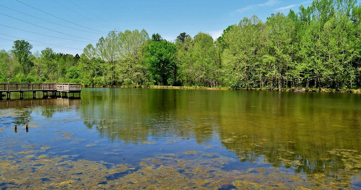 Waterfall Hero Hikes: Brumley Nature Preserve
