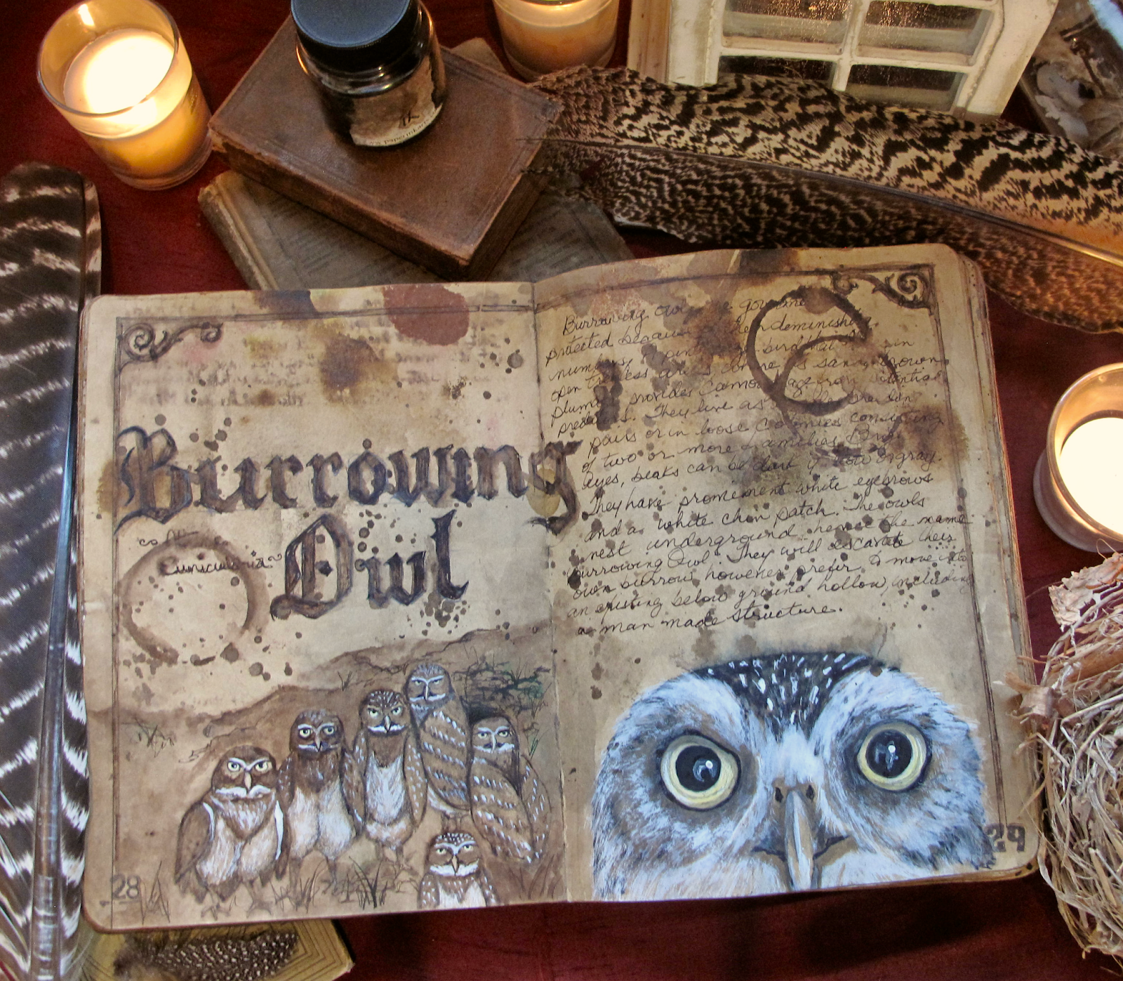 The Pen and Ink Journal (entry #7)