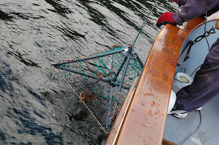 Adventure to Alaska!: Fiordland, Kynoch Inlet/Culpepper Lagoon, 08.24.2013