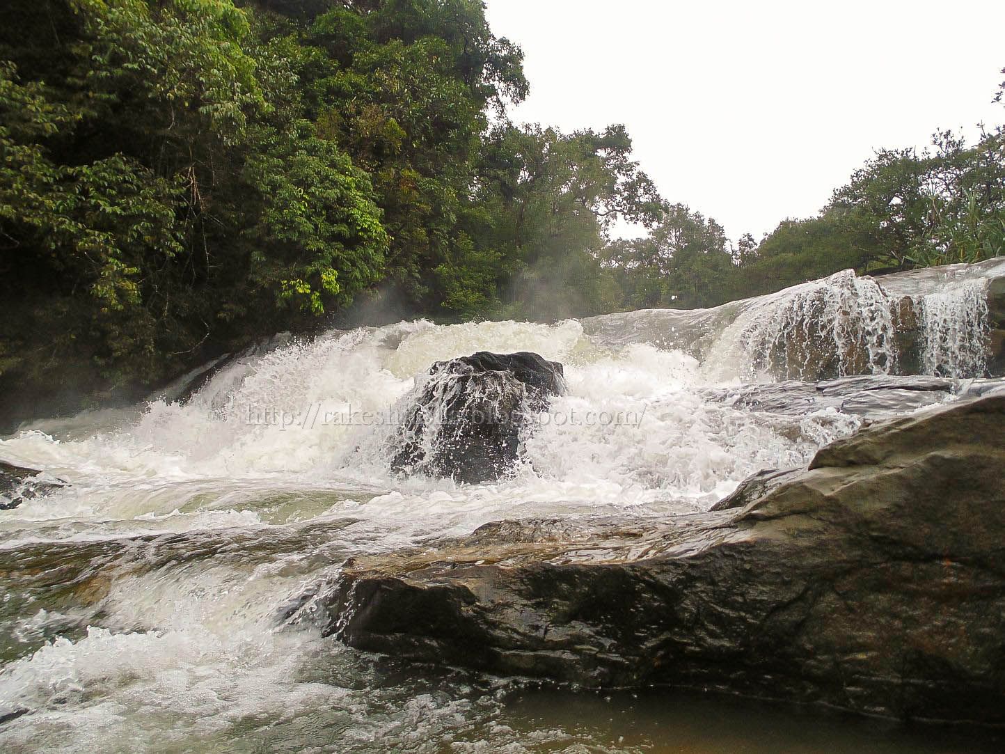 The Voice of Greenery - Trekking and Travelling in Western Ghats ...