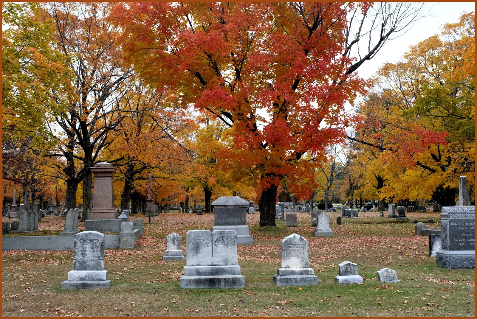 The Frog and PenguINN: Cemetery Seens in Color