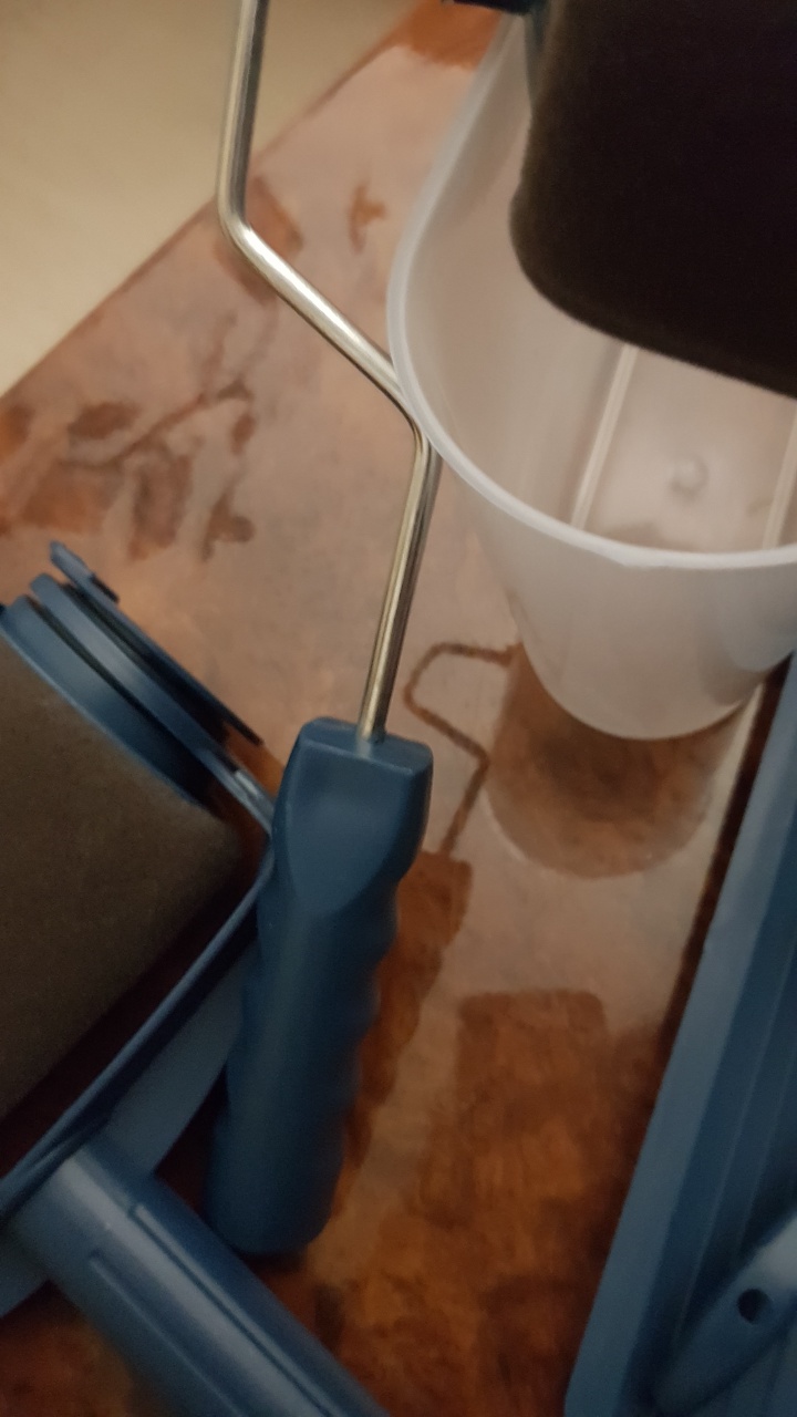 Mona's Blog: Pro, MEJOY Farbroller mit Tank Paint Roller Set ...