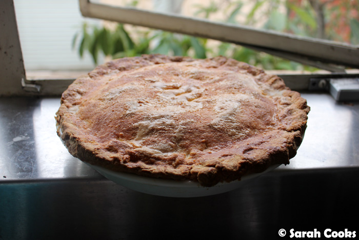 Sarah Cooks: Sarah's Ultimate Apple Pie