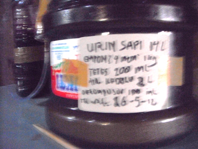 HERBAL dan JAMU: Pupuk Organik Cair urin sapi dan kelinci