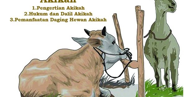 Pengertian, Hukum dan Dalil Akikah - Pendidikan Agama Islam dan Budi ...