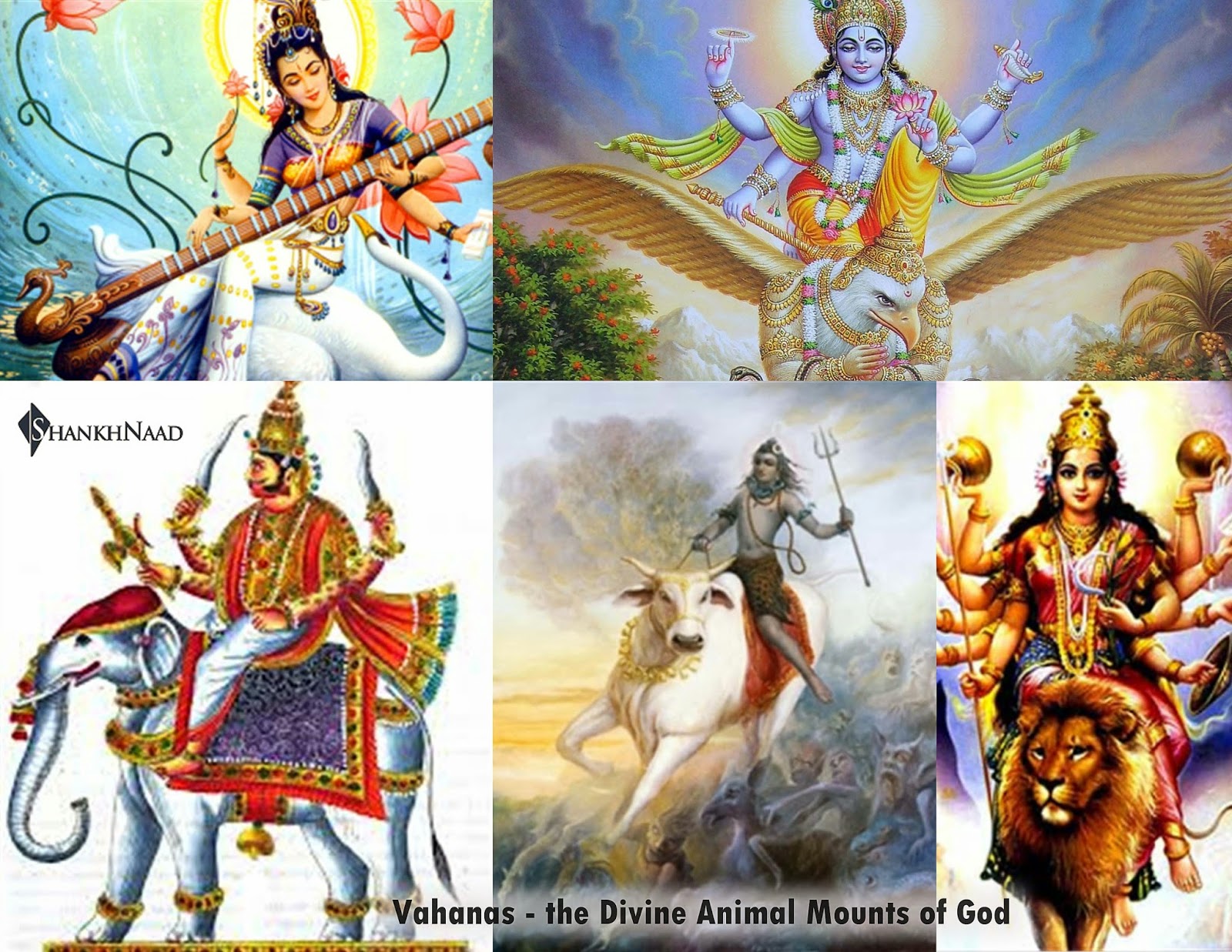 sam: Vahans - The divine animal mounts of God