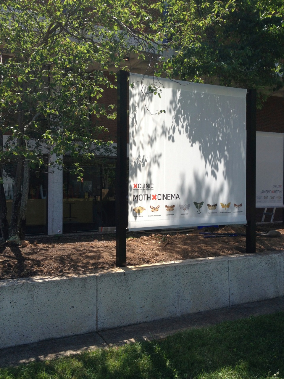 The Moth Cinema - Keith Mankin