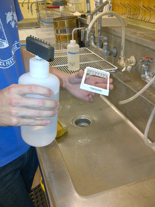 University of Illinois Plant Clinic: Bacterial Leaf Scorch Testing at ...