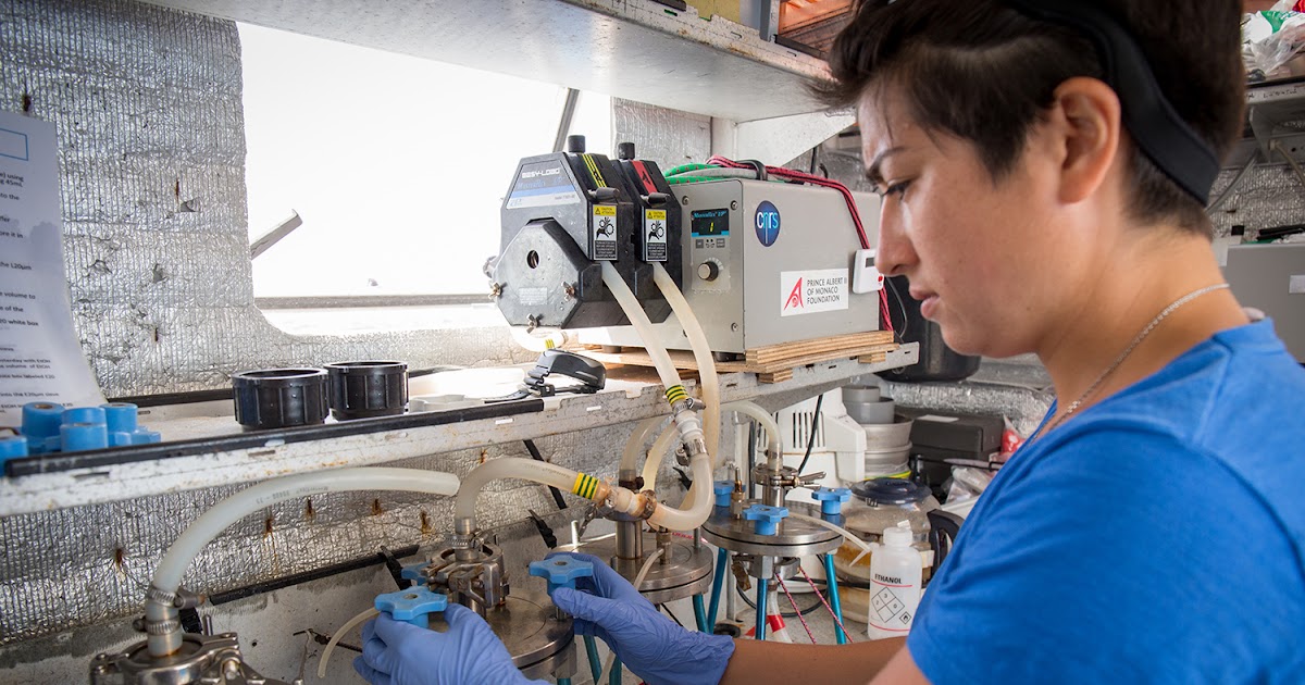 TARA EXPEDITIONS en español: Flora Vincent, como cada mañana