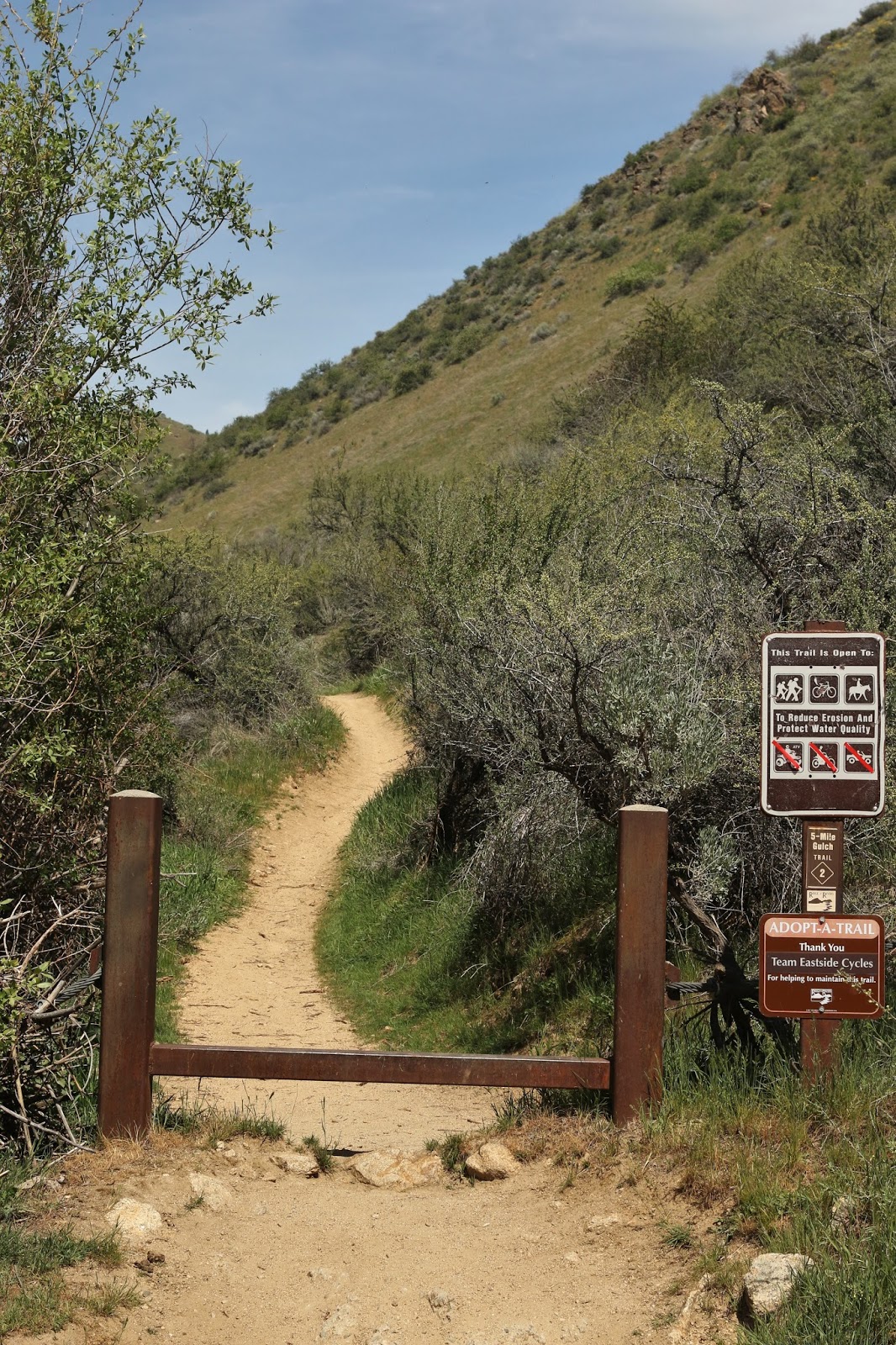 Nomadic Newfies: File Mile-Watchman-Three Bears Loop Near Boise