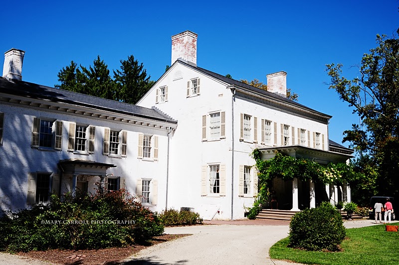 Little Red House: Mosaic Monday: Morven