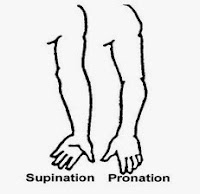 Gerakan ROM Beserta Gambarnya - Catatan Perawat