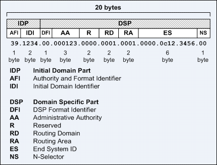 - itcertnotes -: Network Service Access Point (NSAP) Addressing