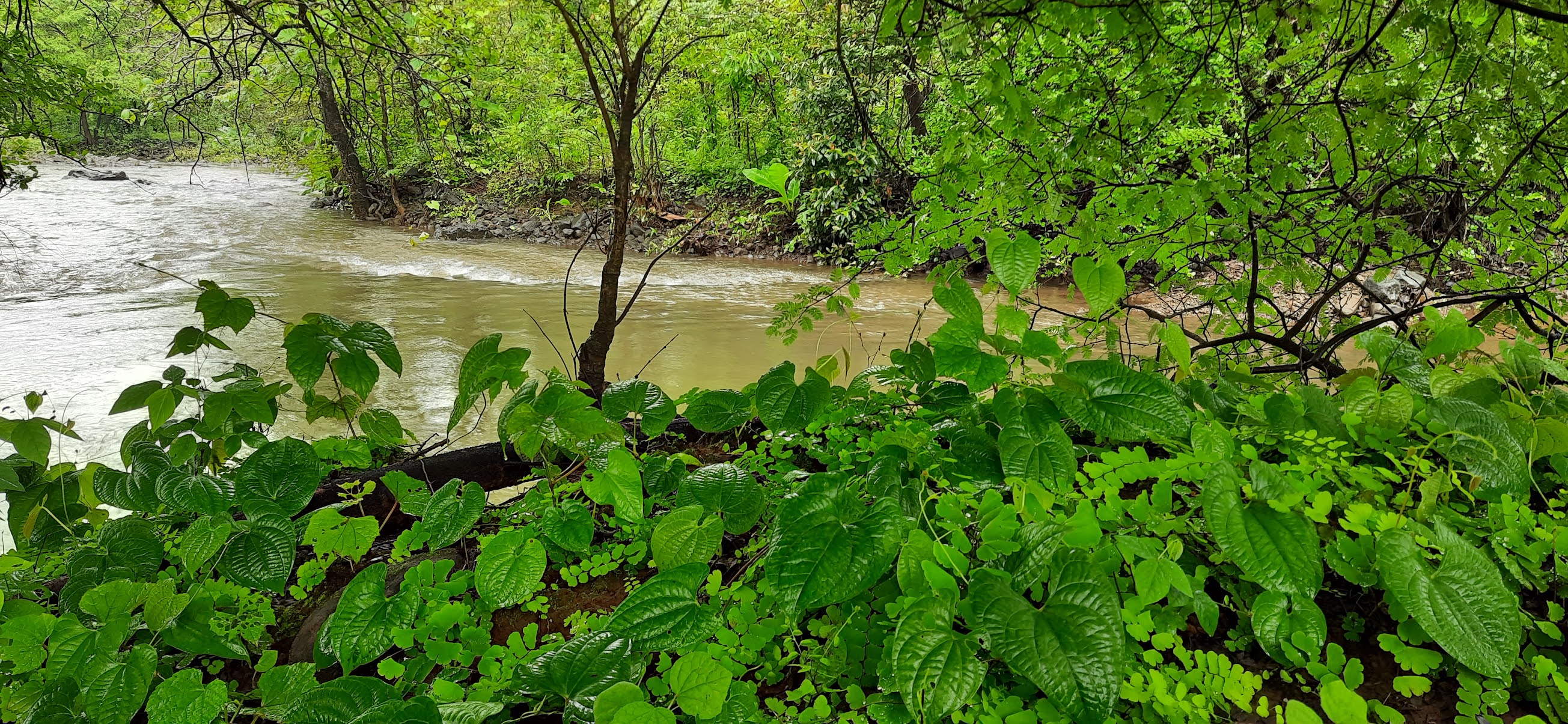 Sharad Pandhare's Educational Blog: Incredible Nature