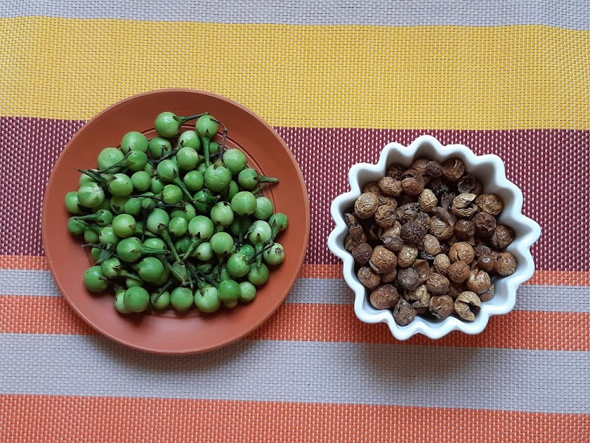 Indian Root Vegetable - Panai kizhangu/Palmyra sprout/Odiyal/Thegalu ...