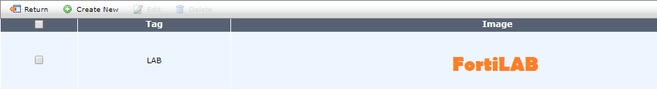 Forti LAB: Fortigate - Login page customizing