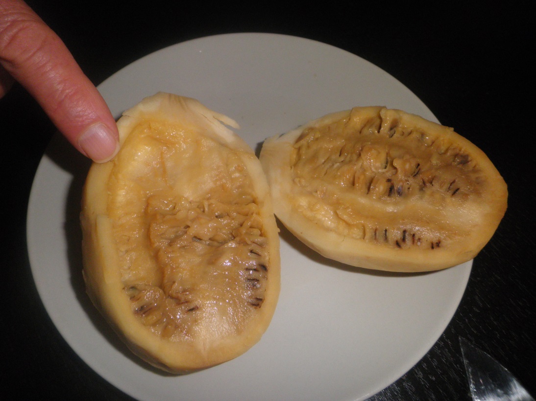 Wallace & Edith Dominican Republic Adventure: INVINCIBLE SPIRIT