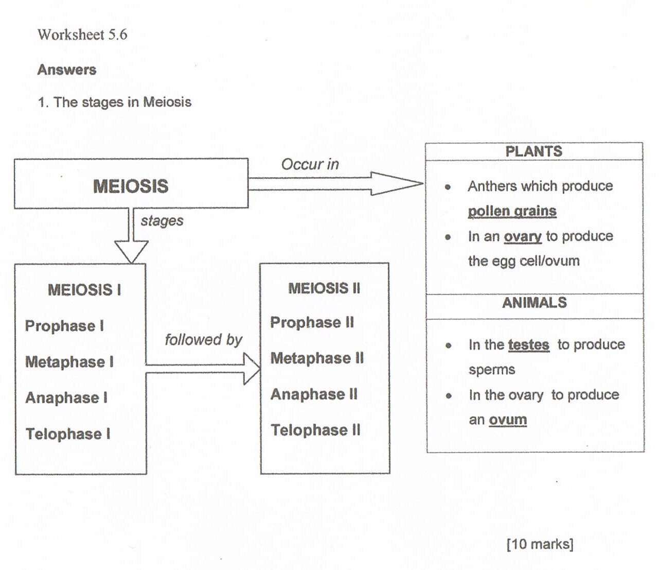 BIOLOGY: Form 4: Chapter 5 Module's answer