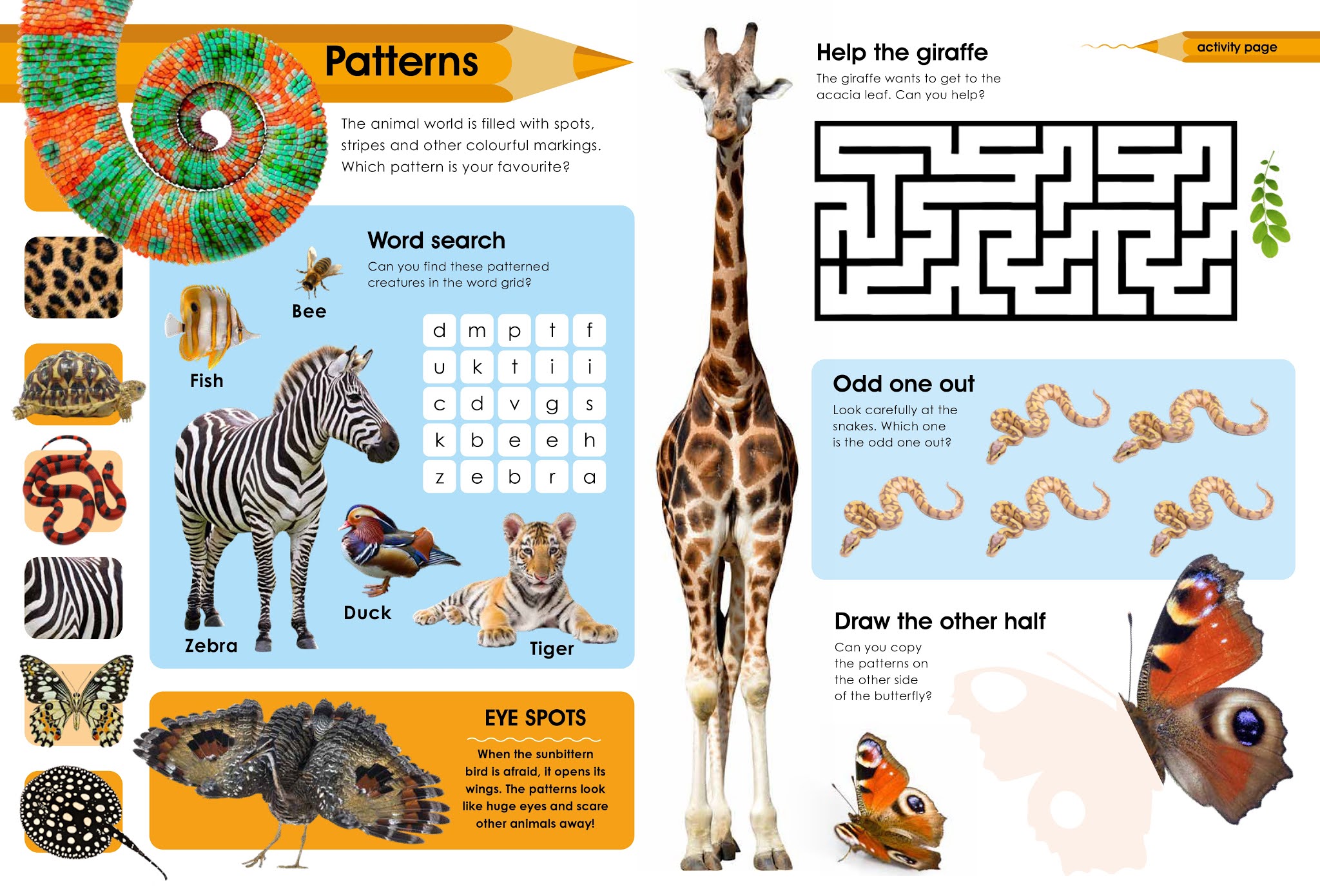 Love, Mrs. Mommy: Kids Can Explore The Animal World Through Fun ...