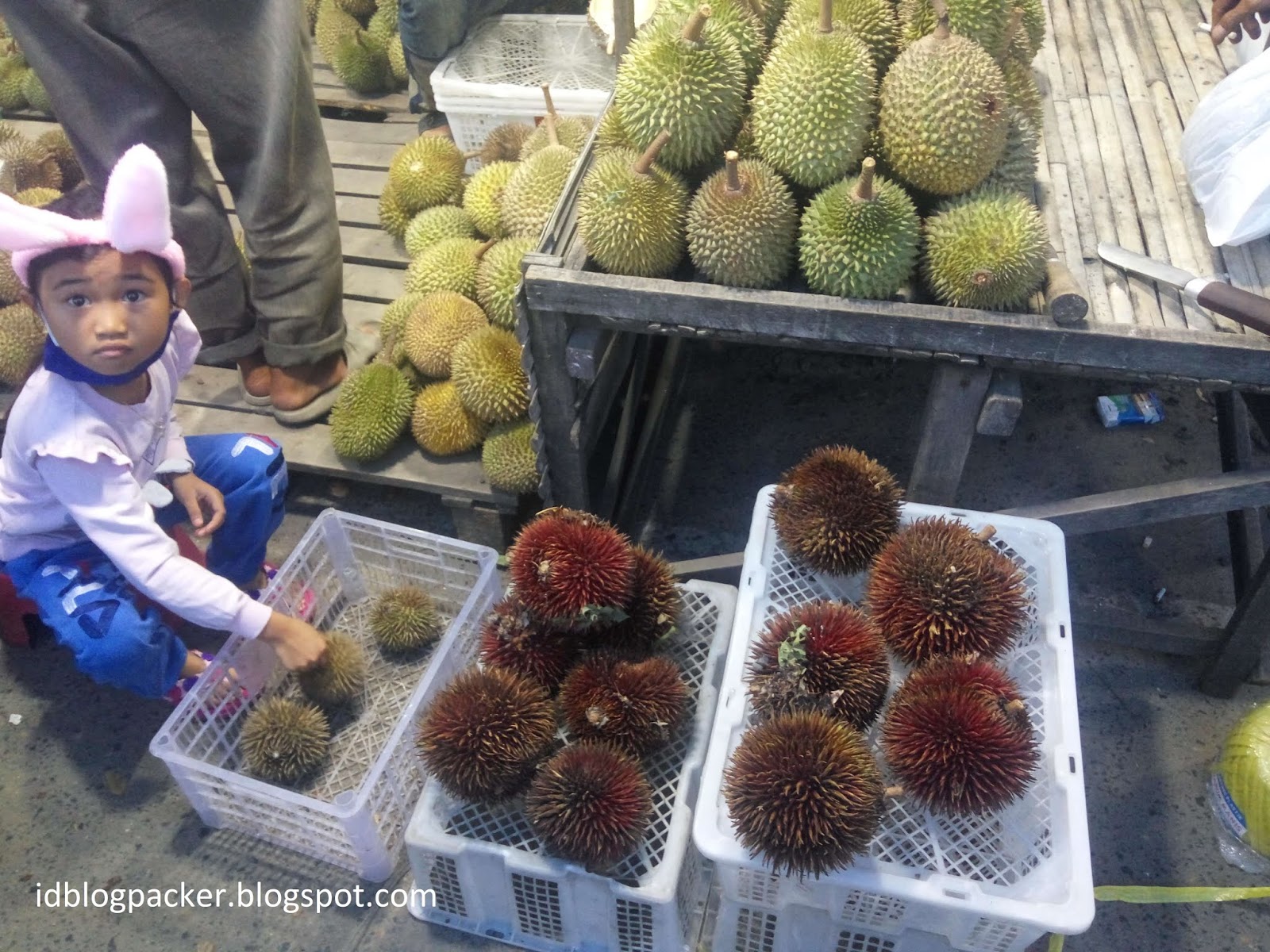 Durian Lahung Buah Nan Eksotis Yang Sangat Langka | idblogpacker ...