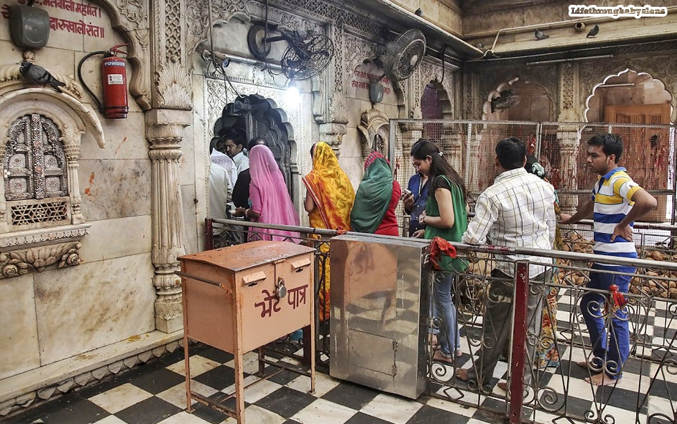 The Incredible "Rat Temple" in Rajasthan, India