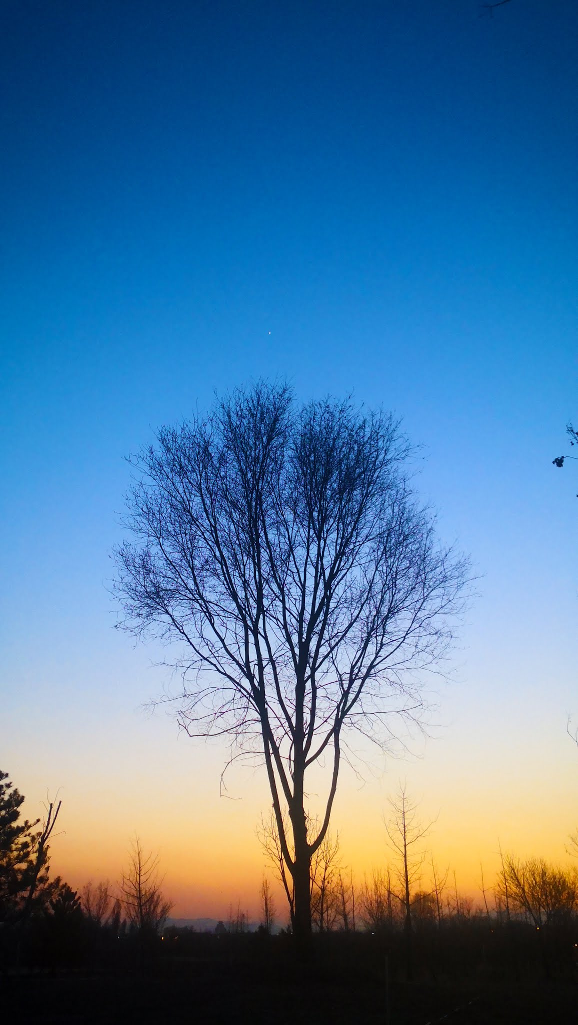 16blue sky sunset photography pictures, come to see our collection - HiArt