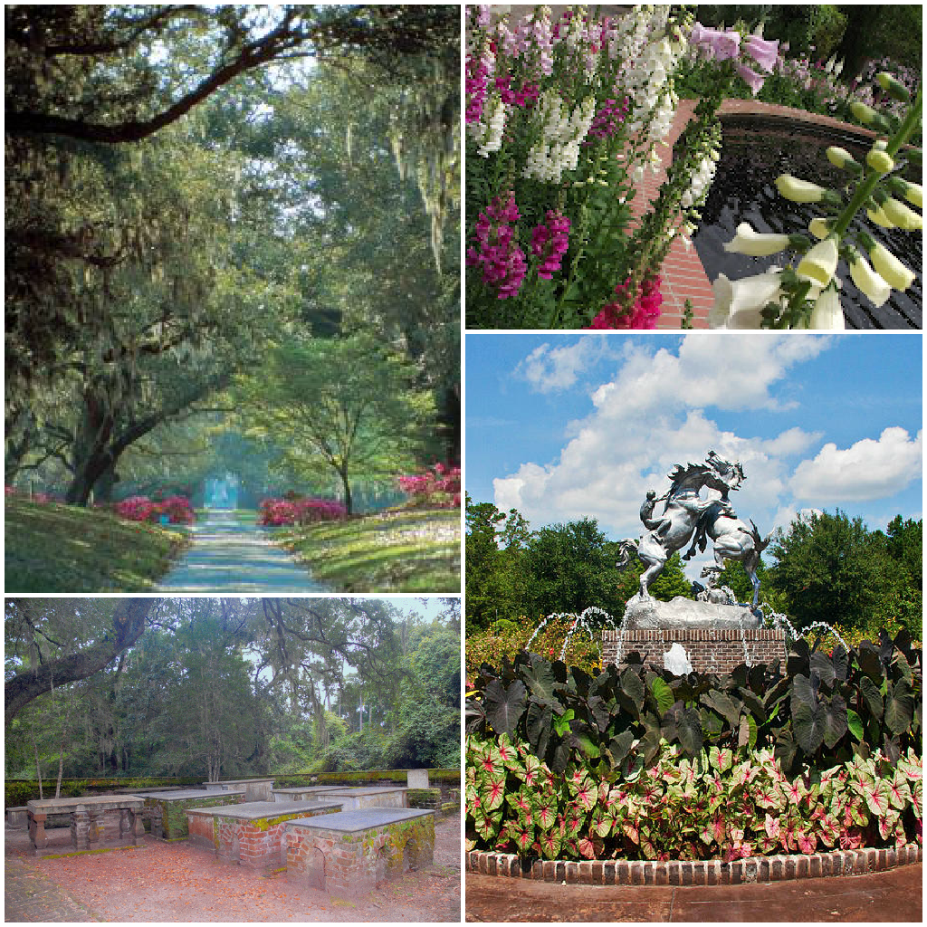 All Things Myrtle Beach: Living History: Plantation Tours in South Carolina