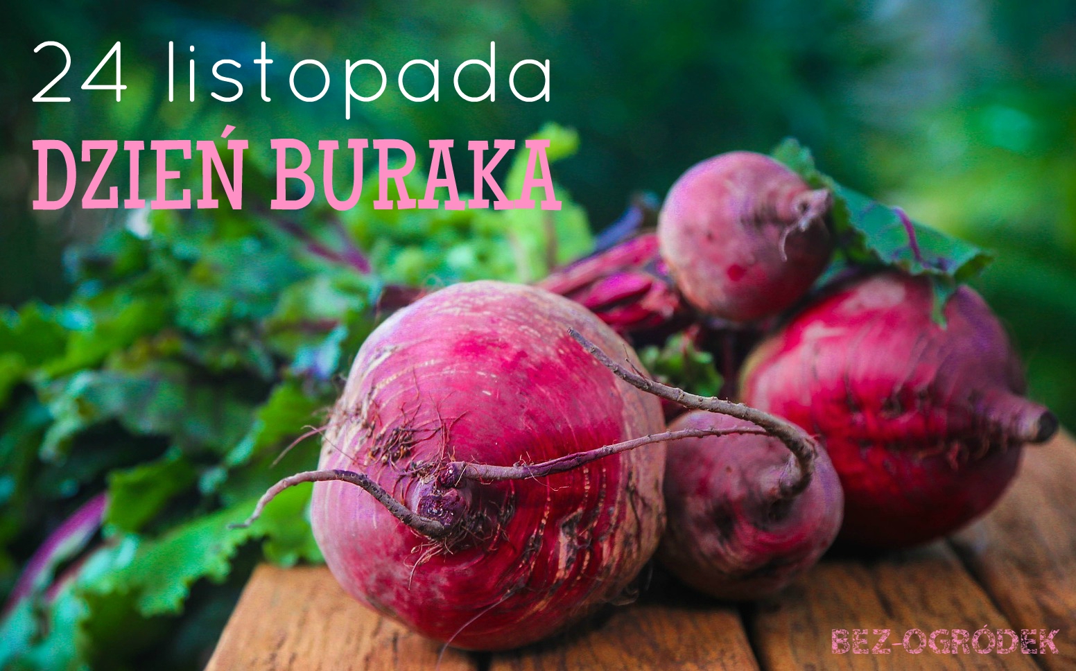 10 najważniejszych świąt dla ogrodników | BEZ OGRÓDEK | blog ogrodniczy